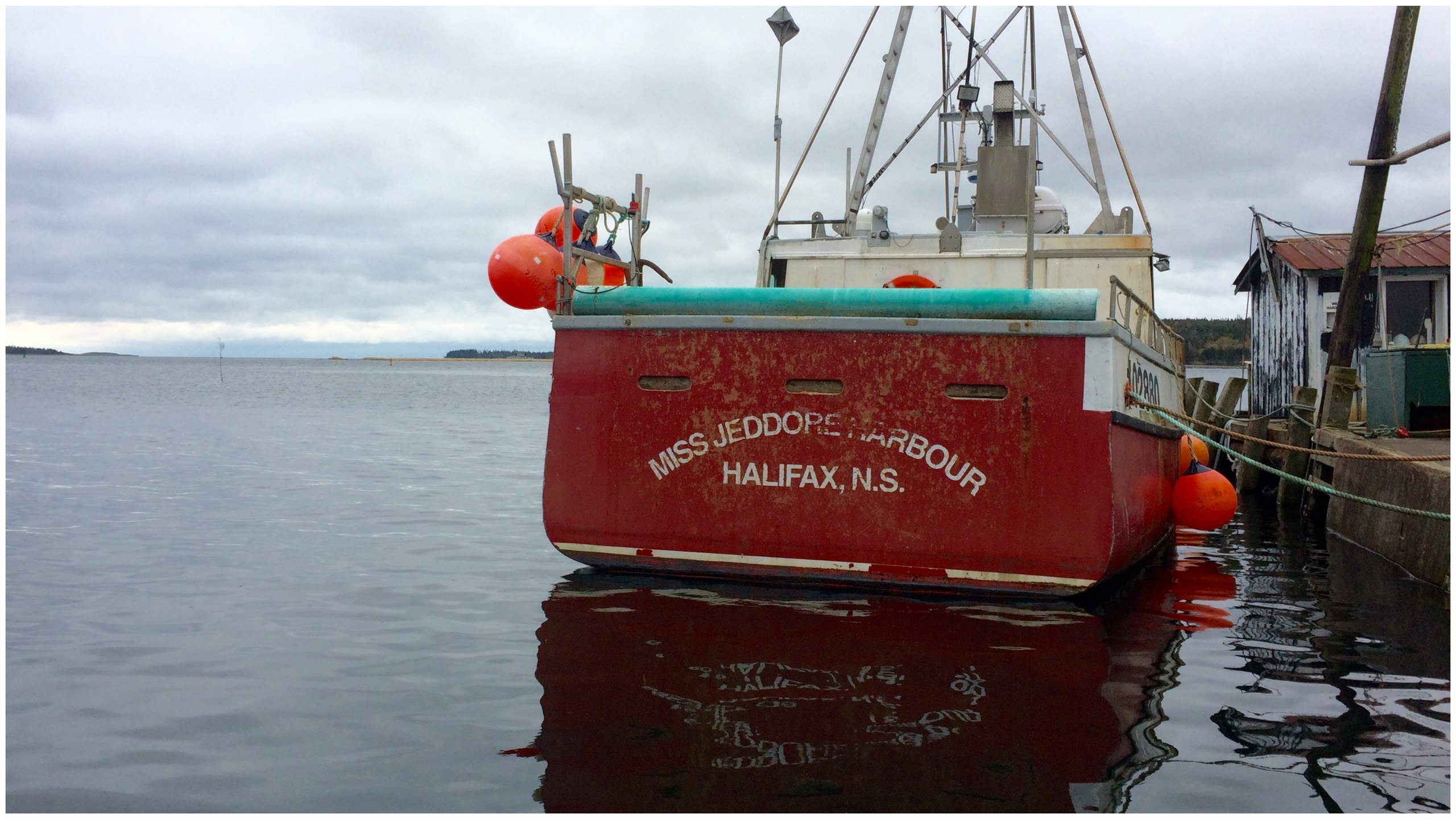 A DEEP HISTORY